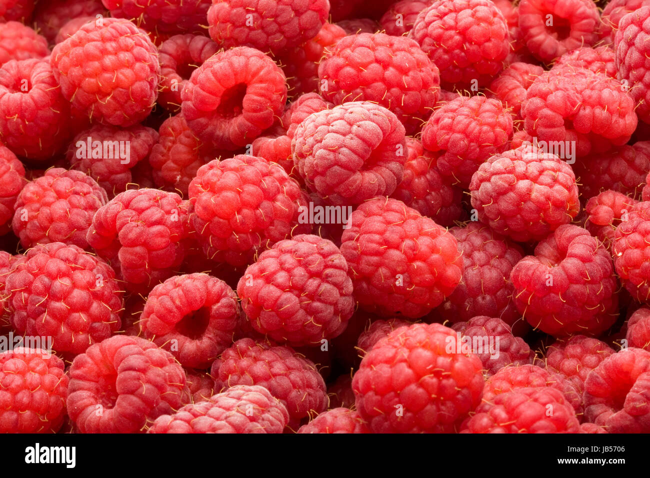 Many fresh red raspberries making beautiful background Stock Photo - Alamy