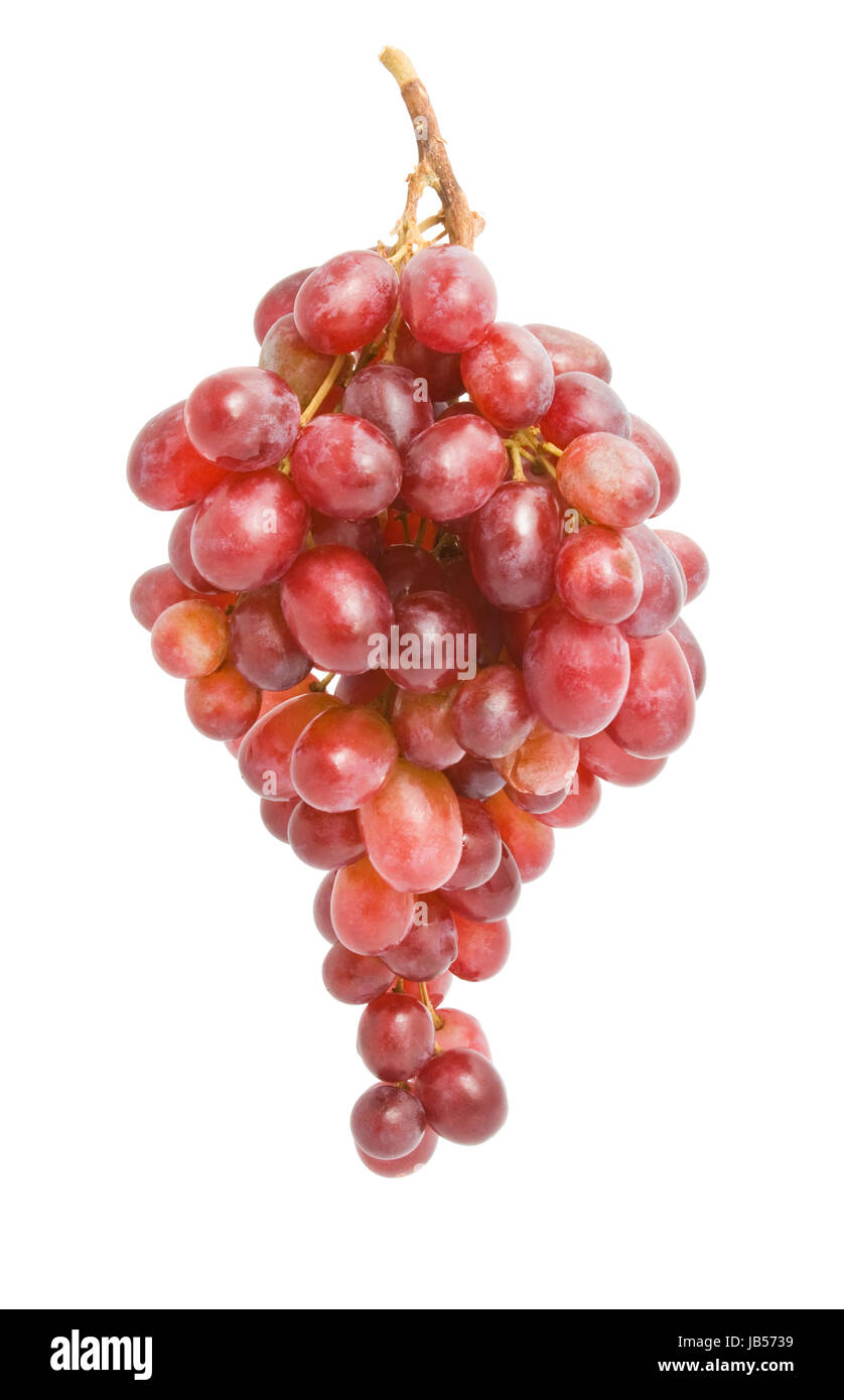 Branch of grapes isolated on white background Stock Photo - Alamy
