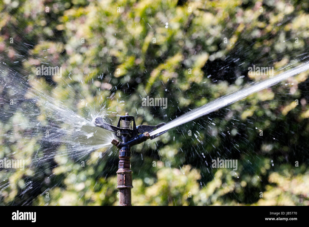 Sprinkler water drops hi-res stock photography and images - Alamy
