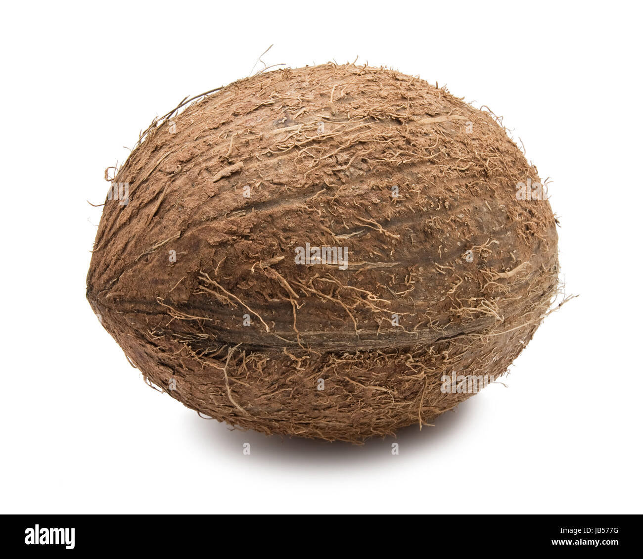 Perfect fresh coconut isolated on white background Stock Photo - Alamy