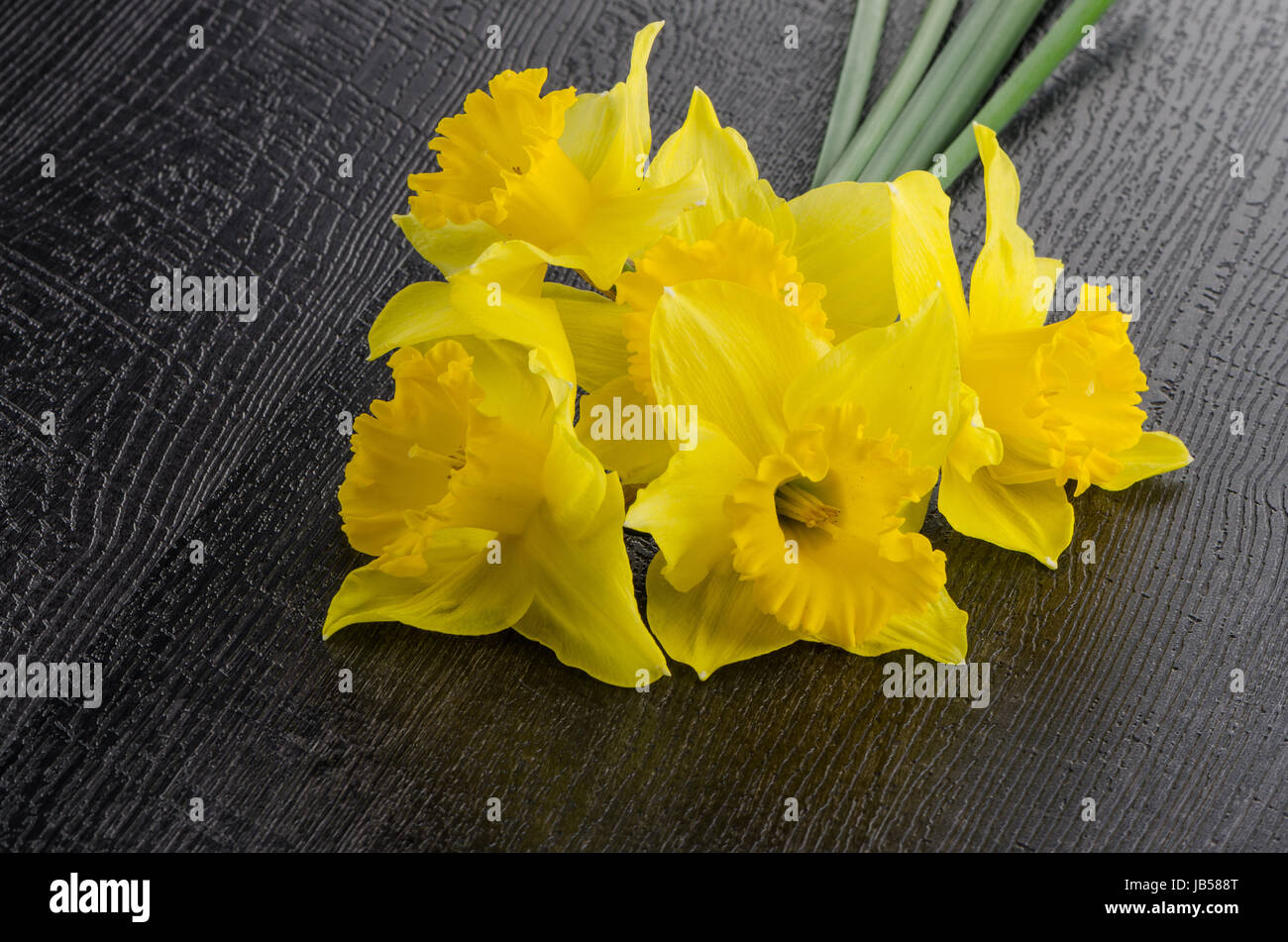 Yellow jonquil flowers on dark wooden background Stock Photo - Alamy