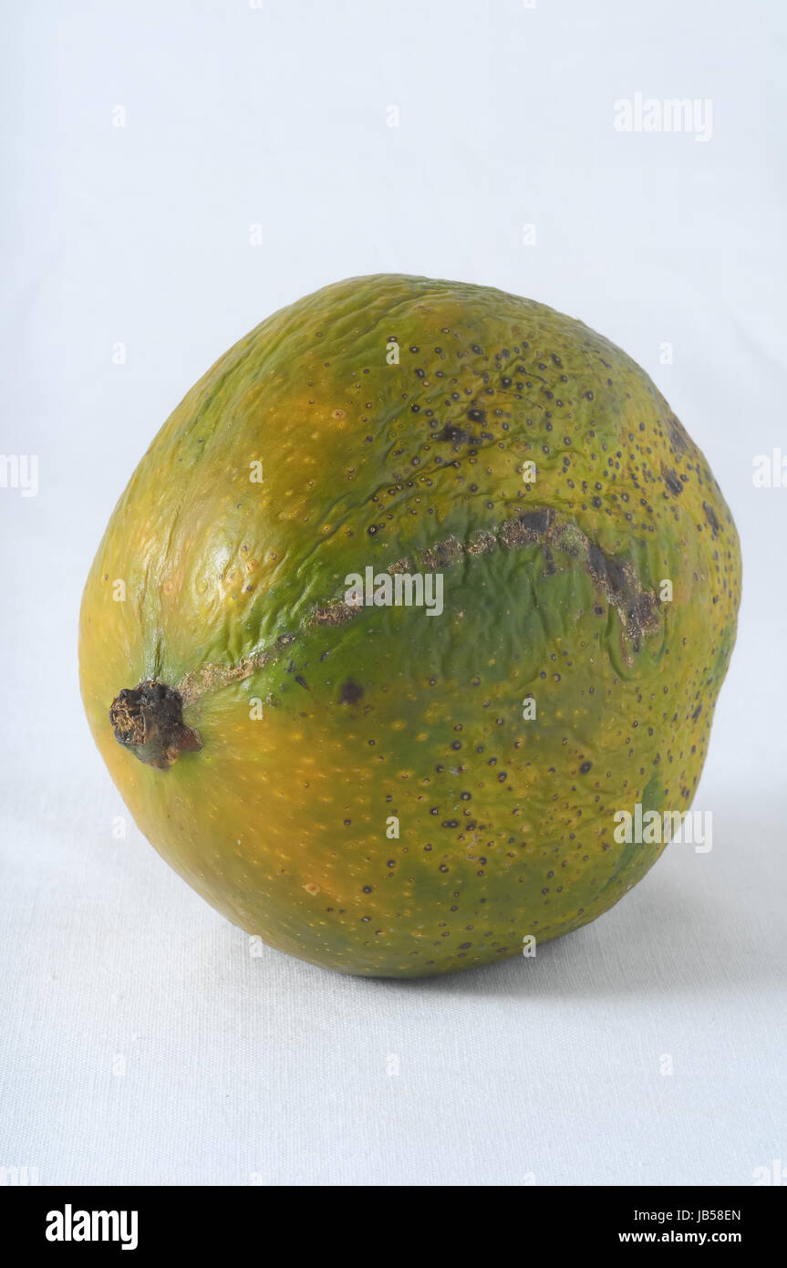 Affa hi-res stock photography and images - Alamy