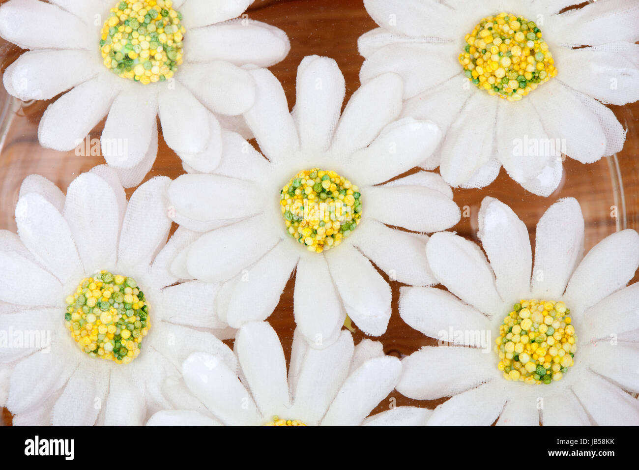 Beautiful flowers floating on water photographed close Stock Photo - Alamy