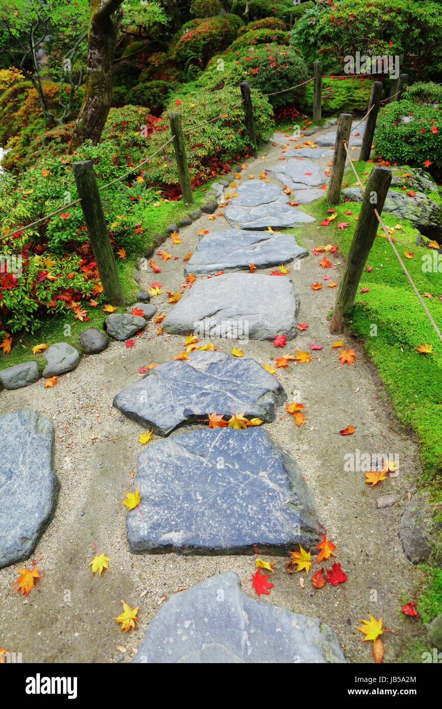 Stepping stone path in lawn hi-res stock photography and images - Alamy