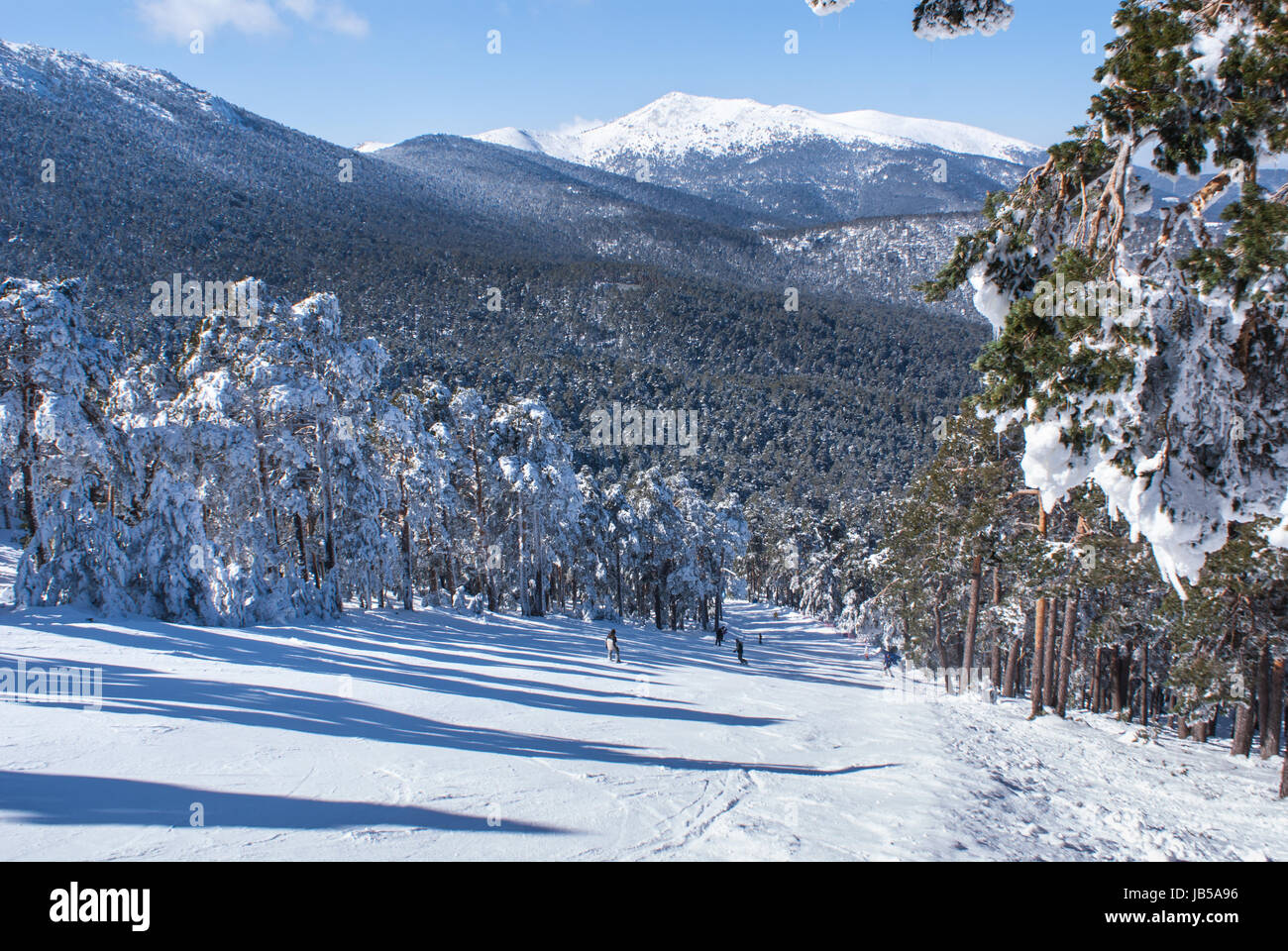 Snow in navacerrada madrid spain Stock Photo - Alamy