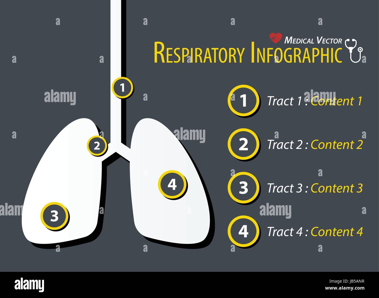 Respiratory Infographic . Flat design Stock Vector Image & Art - Alamy