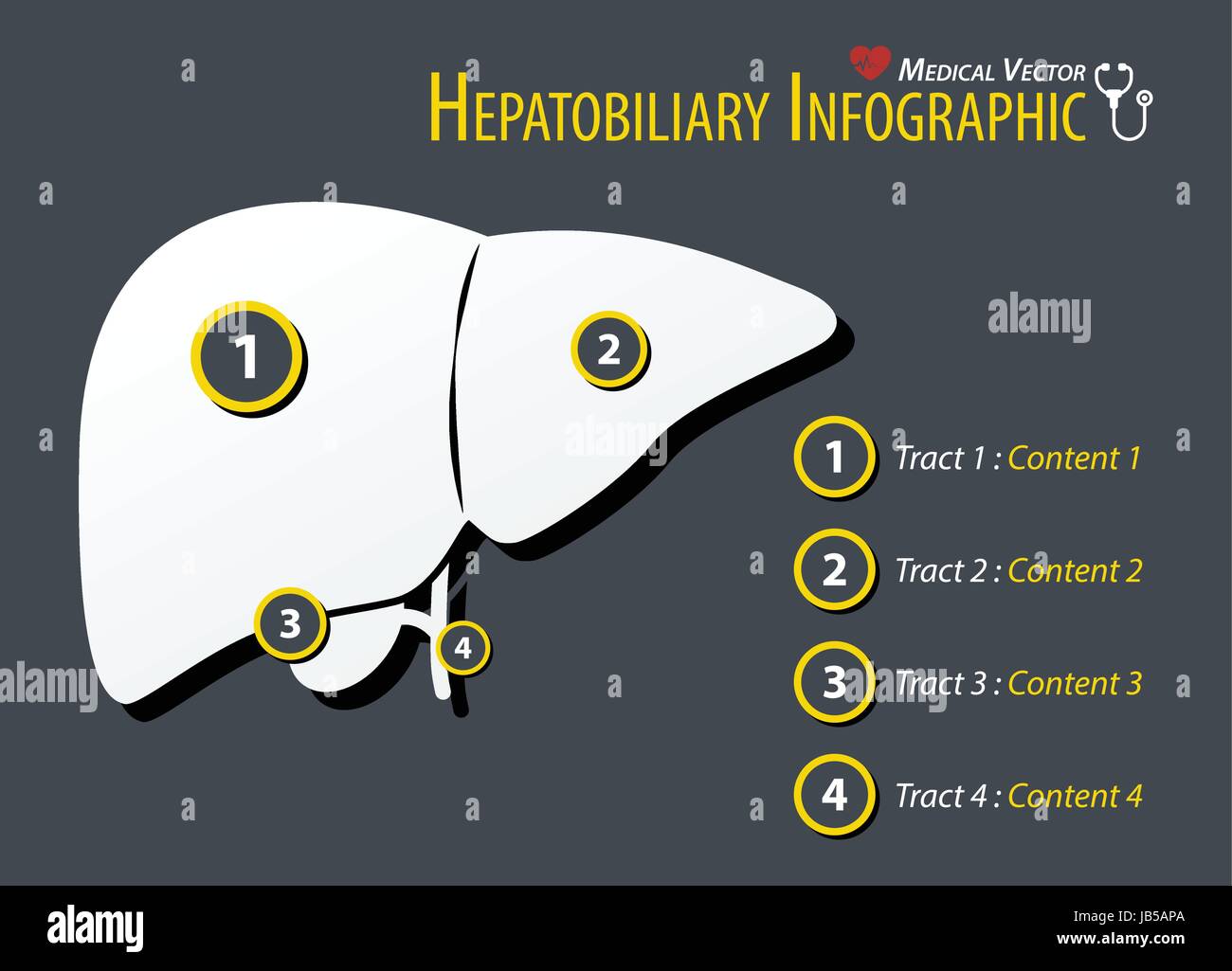 Hepatobiliary Infographic . Flat design Stock Vector Image & Art - Alamy