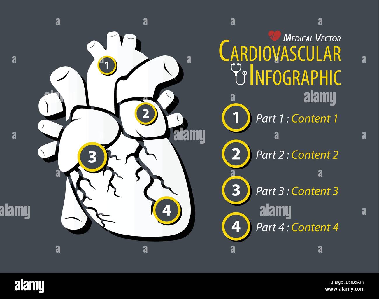 Cardiovascular Infographic . Flat design Stock Vector Image & Art - Alamy