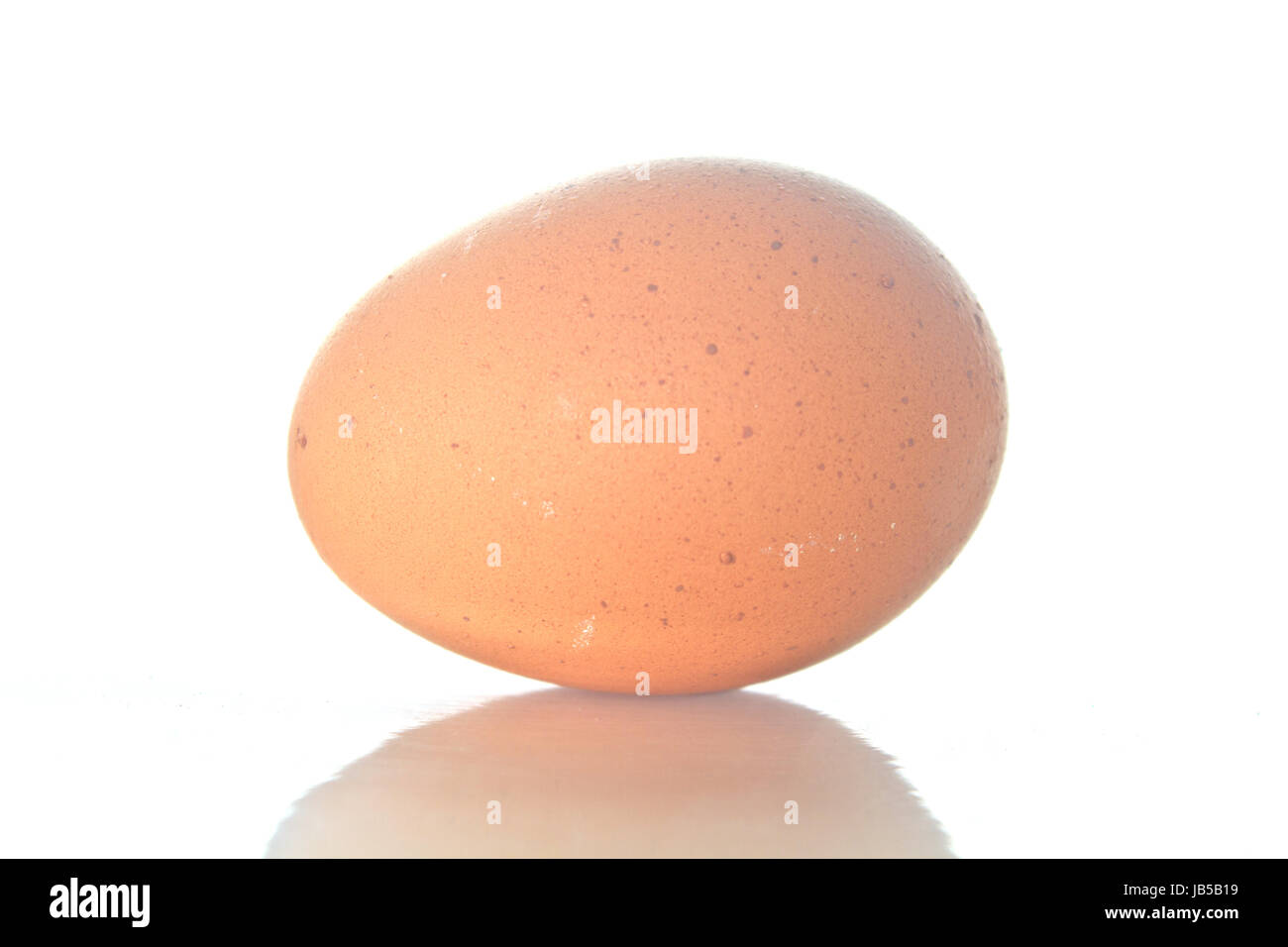 Egg isolated on white background Stock Photo - Alamy