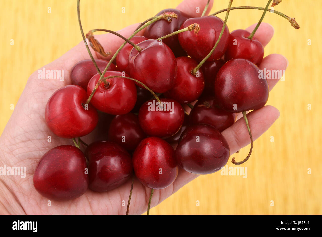 A hand holding cherries Stock Photo - Alamy