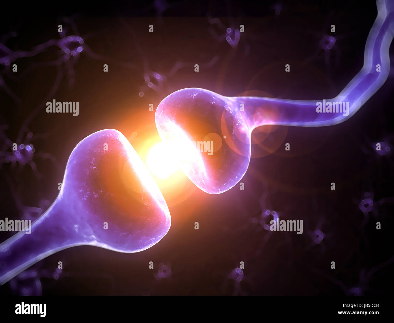 3d rendered illustration of a human receptor Stock Photo - Alamy