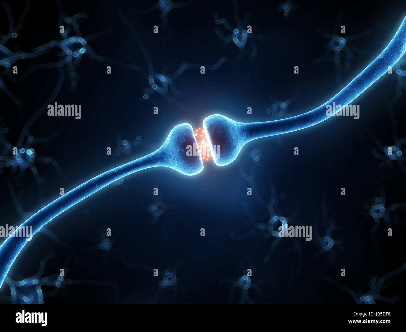 Active receptor hi-res stock photography and images - Alamy