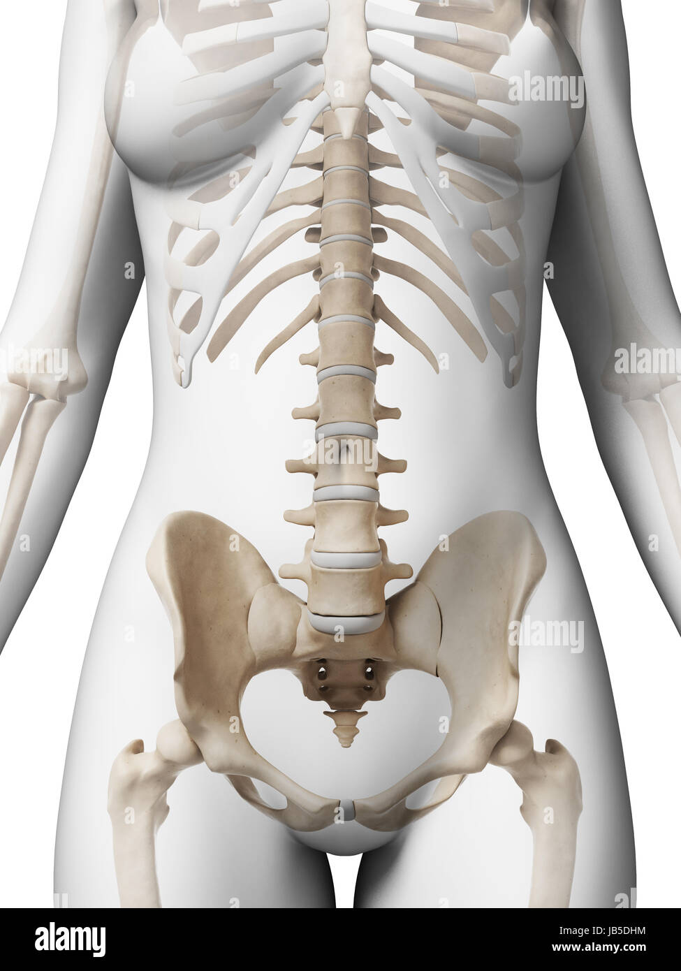 Female 3d rendered illustration hi-res stock photography and images - Alamy