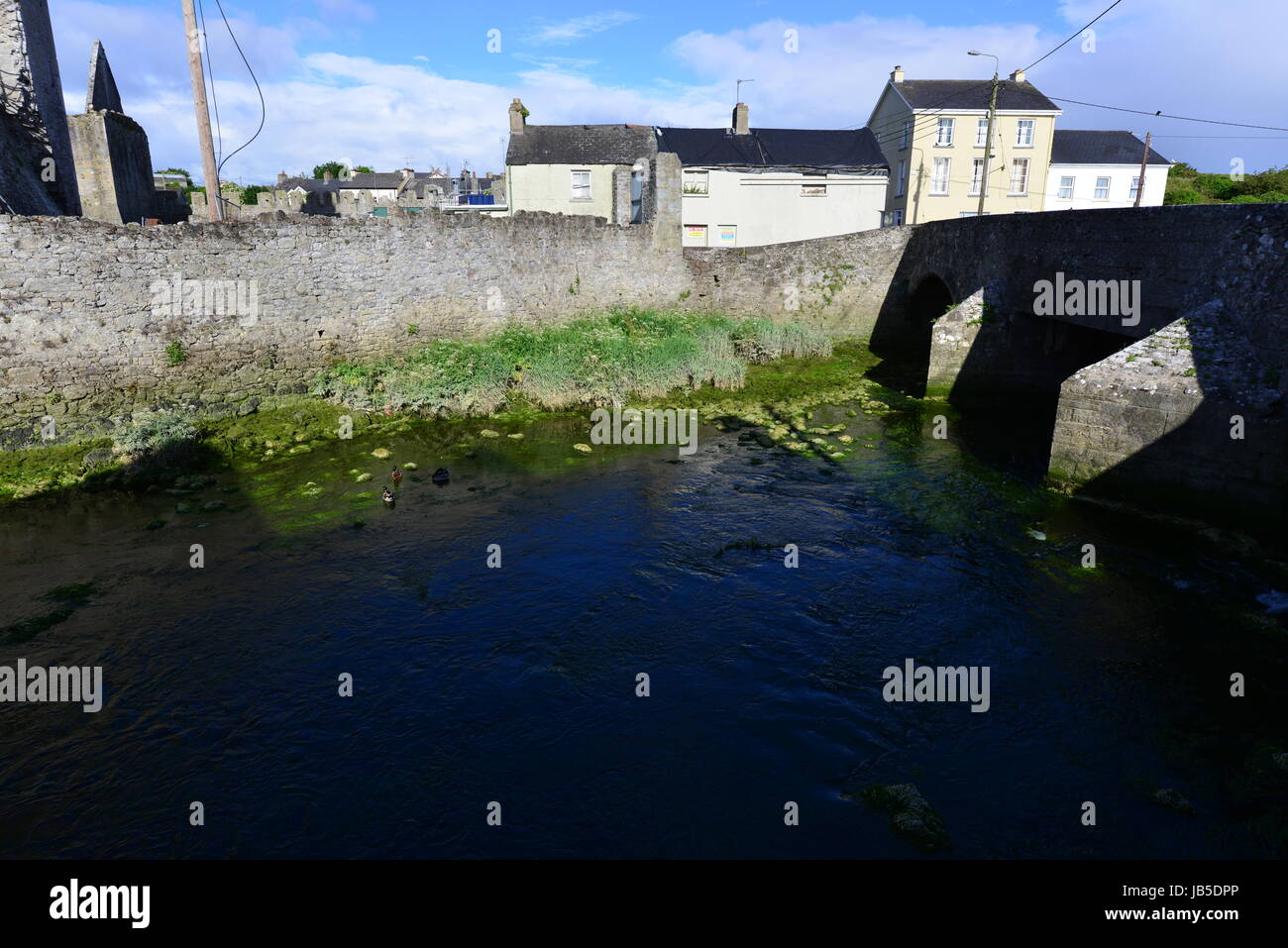 A stone bridge crossing the River Deel in Ireland Stock Photo - Alamy