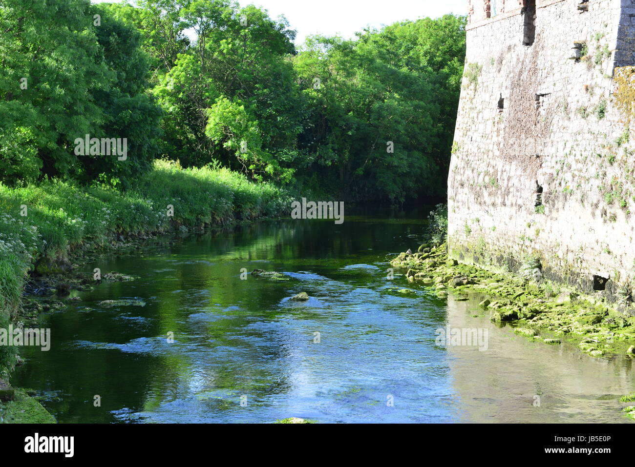 The ruins of a castle on the River Deel in Ireland Stock Photo - Alamy