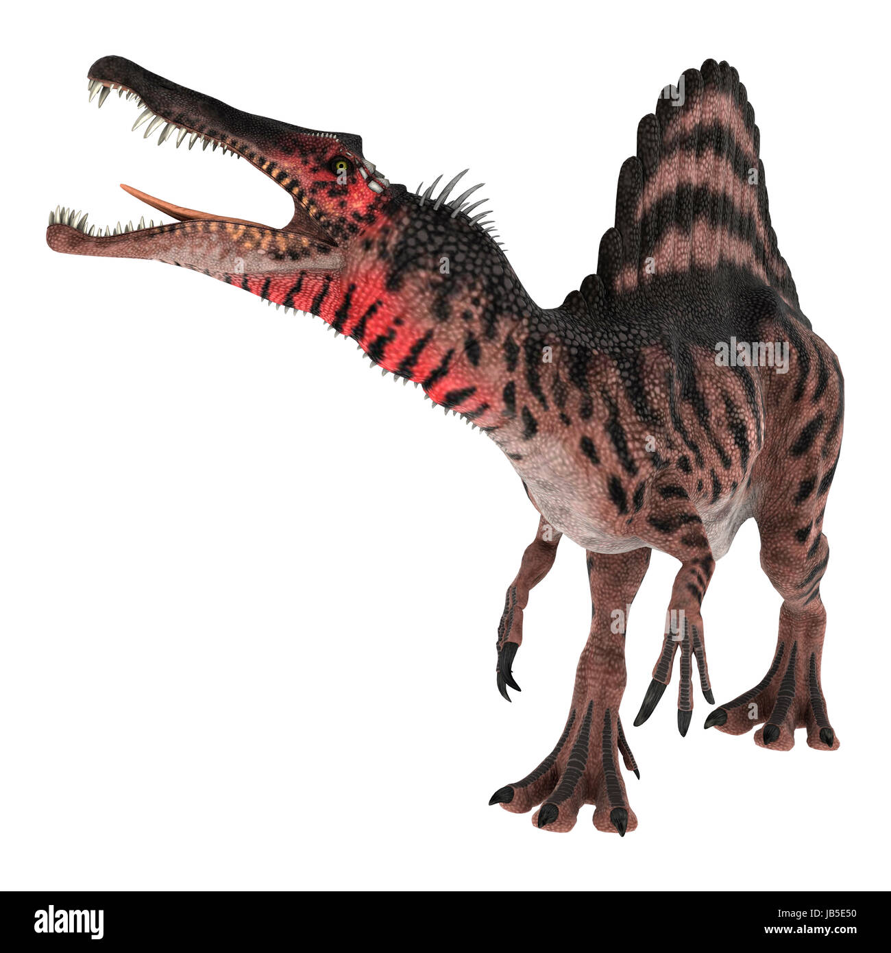 3D digital render of an aggressive Cretaceous dinosaur Spinosaurus or ...