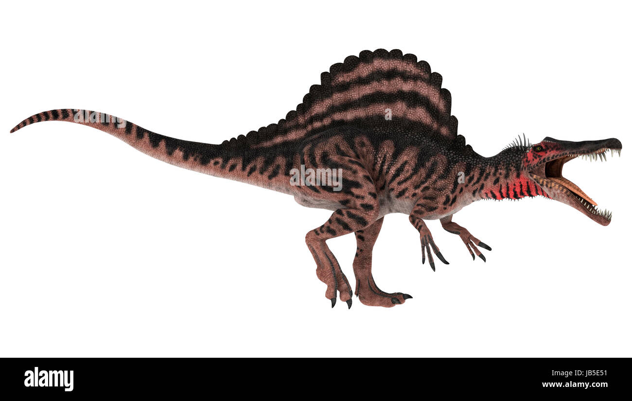 3D digital render of an aggressive Cretaceous dinosaur Spinosaurus or ...