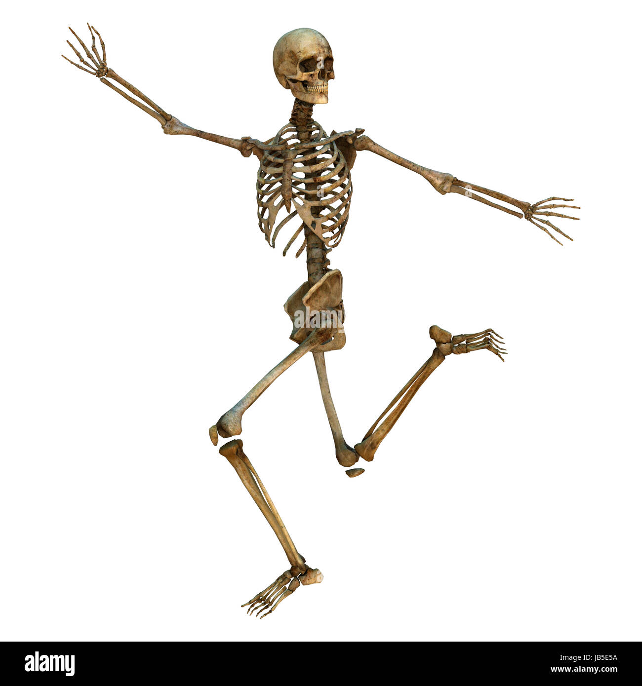 3D digital render of an old human male skeleton isolated on white ...