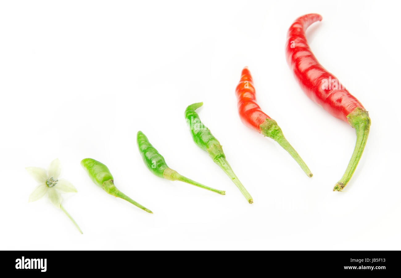 Growing up step by step Stock Photo - Alamy