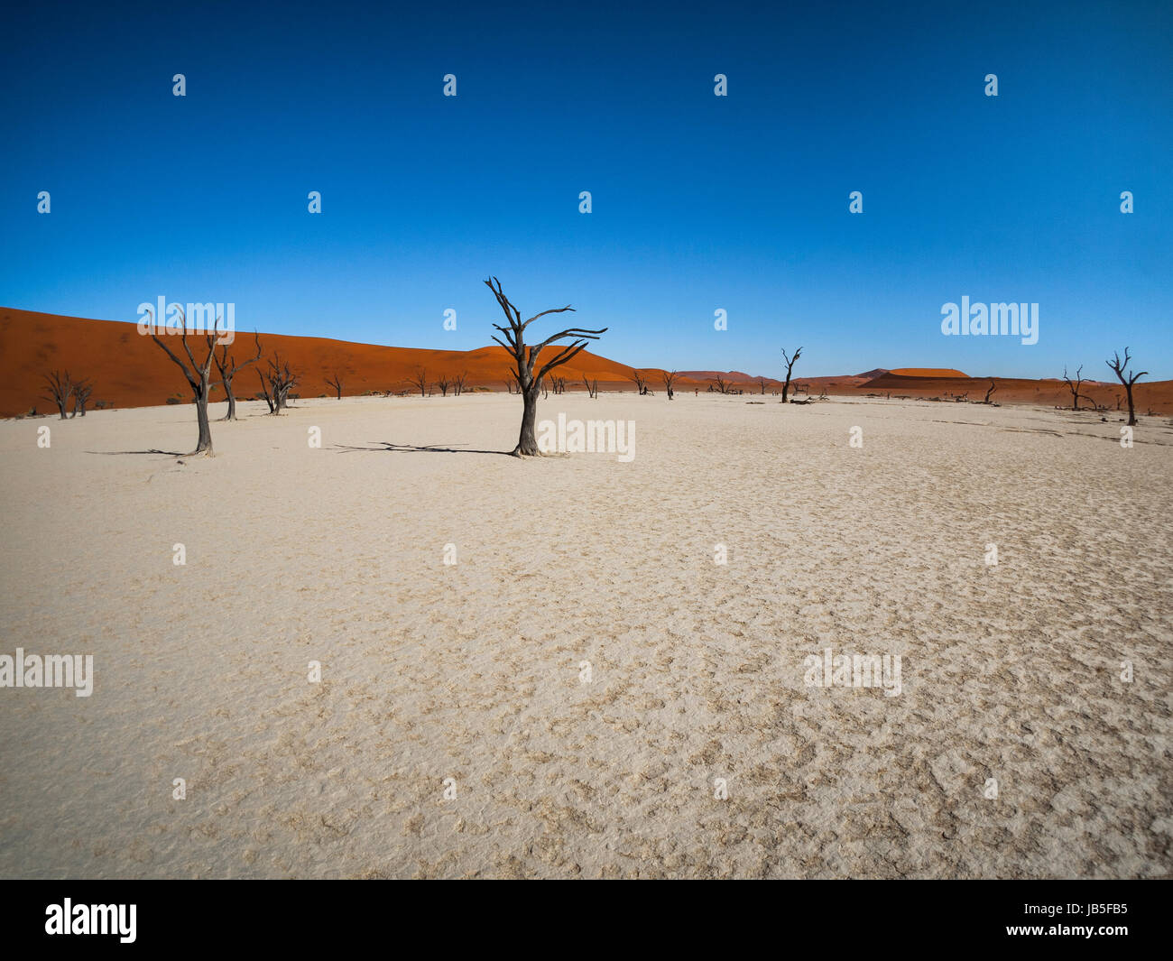Dead acacia trees at Deadvlei in the Namib desert in Namibia, Africa ...