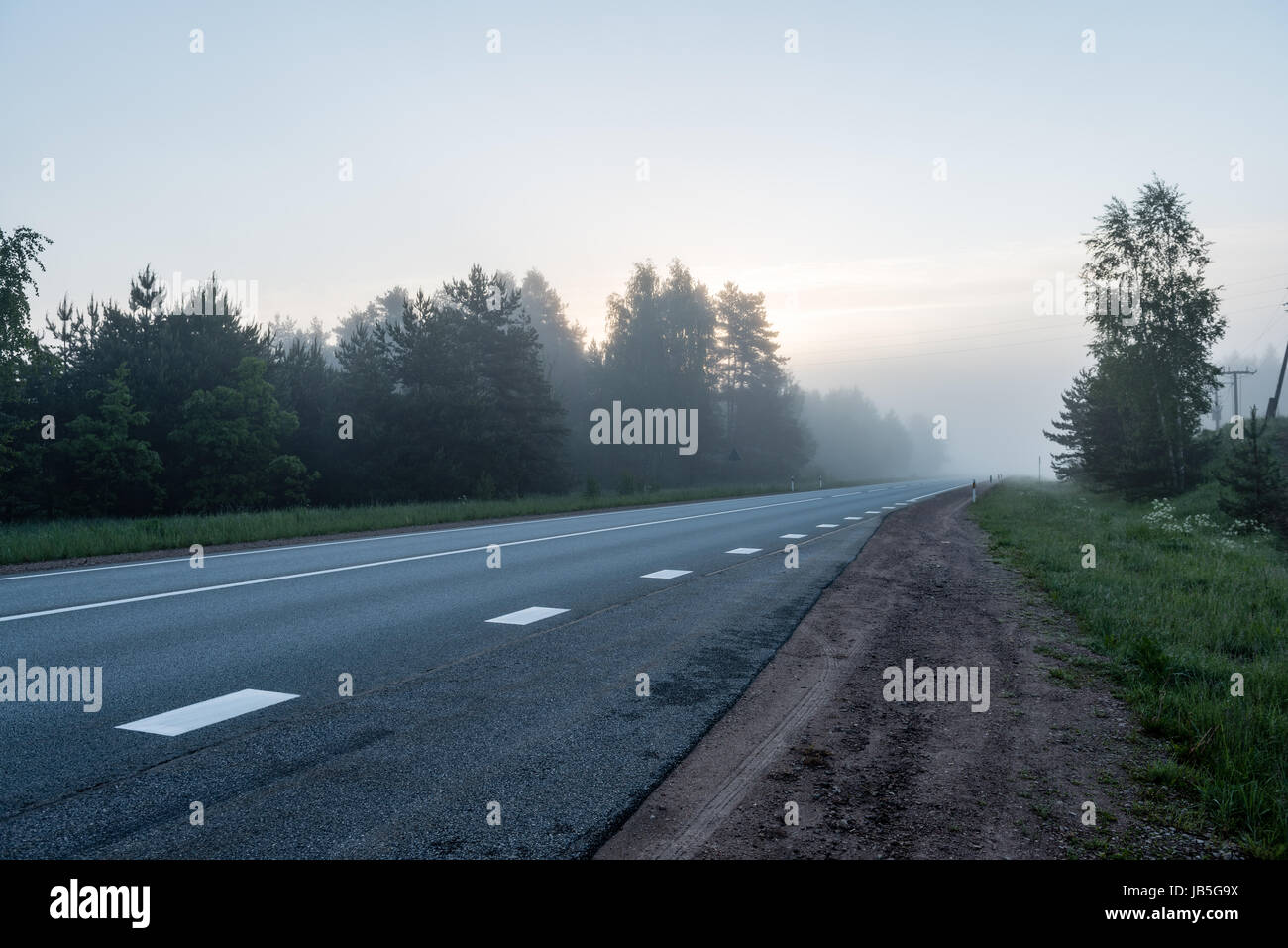 empty road in the countryside with forest in surrounding. perspective ...