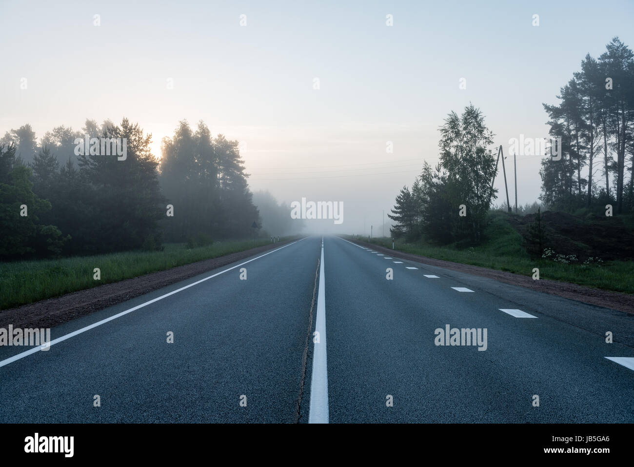 empty road in the countryside with forest in surrounding. perspective ...
