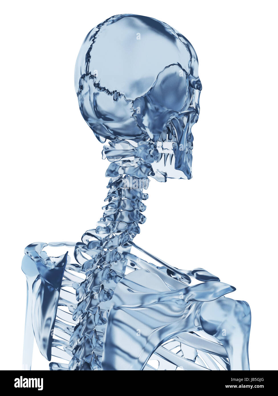 3d rendered illustration of a glass skeleton Stock Photo - Alamy