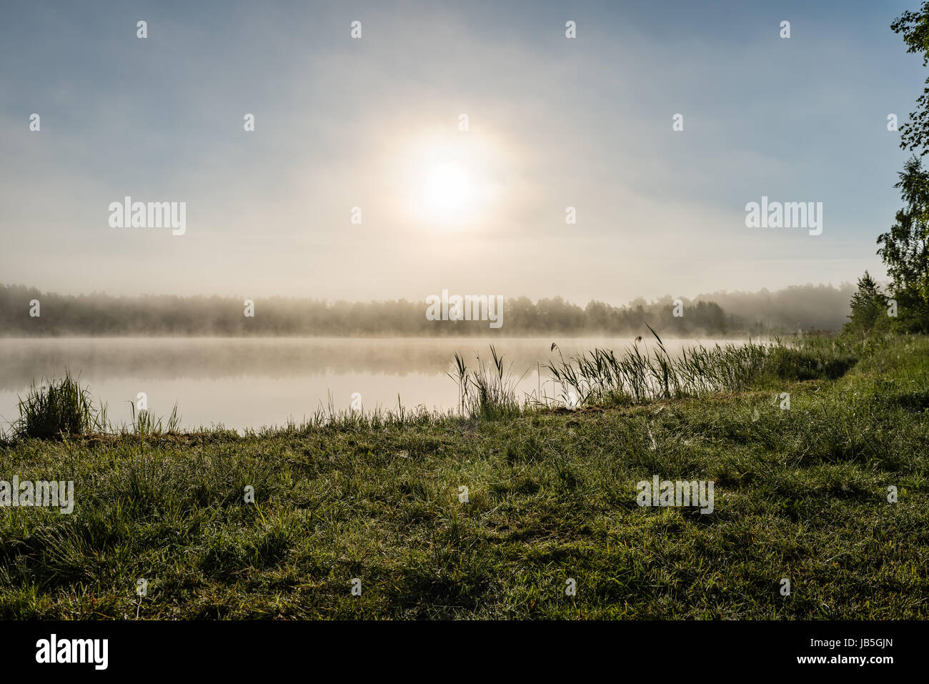 reflections in the lake water at sunrise with morning mist over the ...