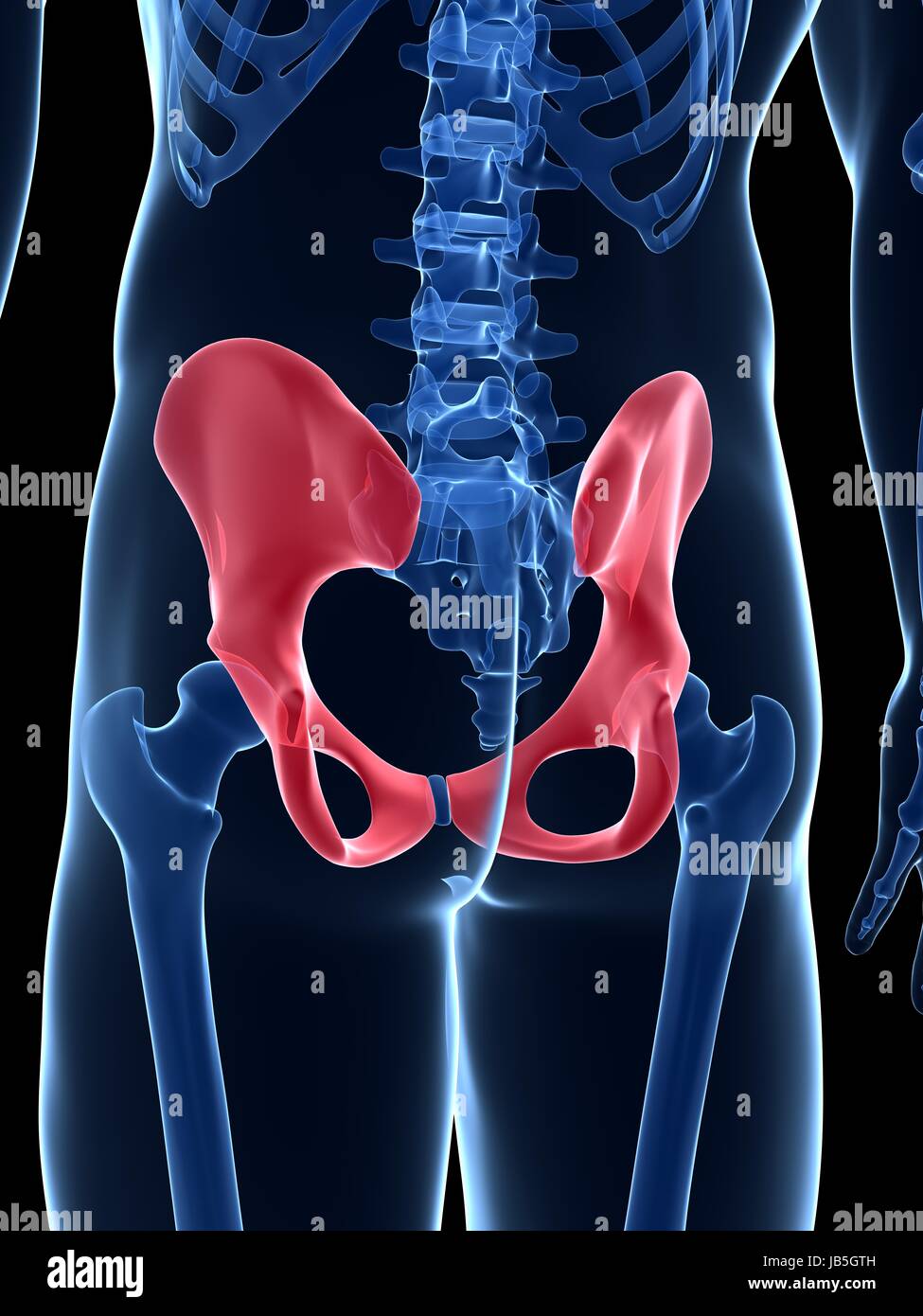 3d rendered illustration - hip bone Stock Photo - Alamy
