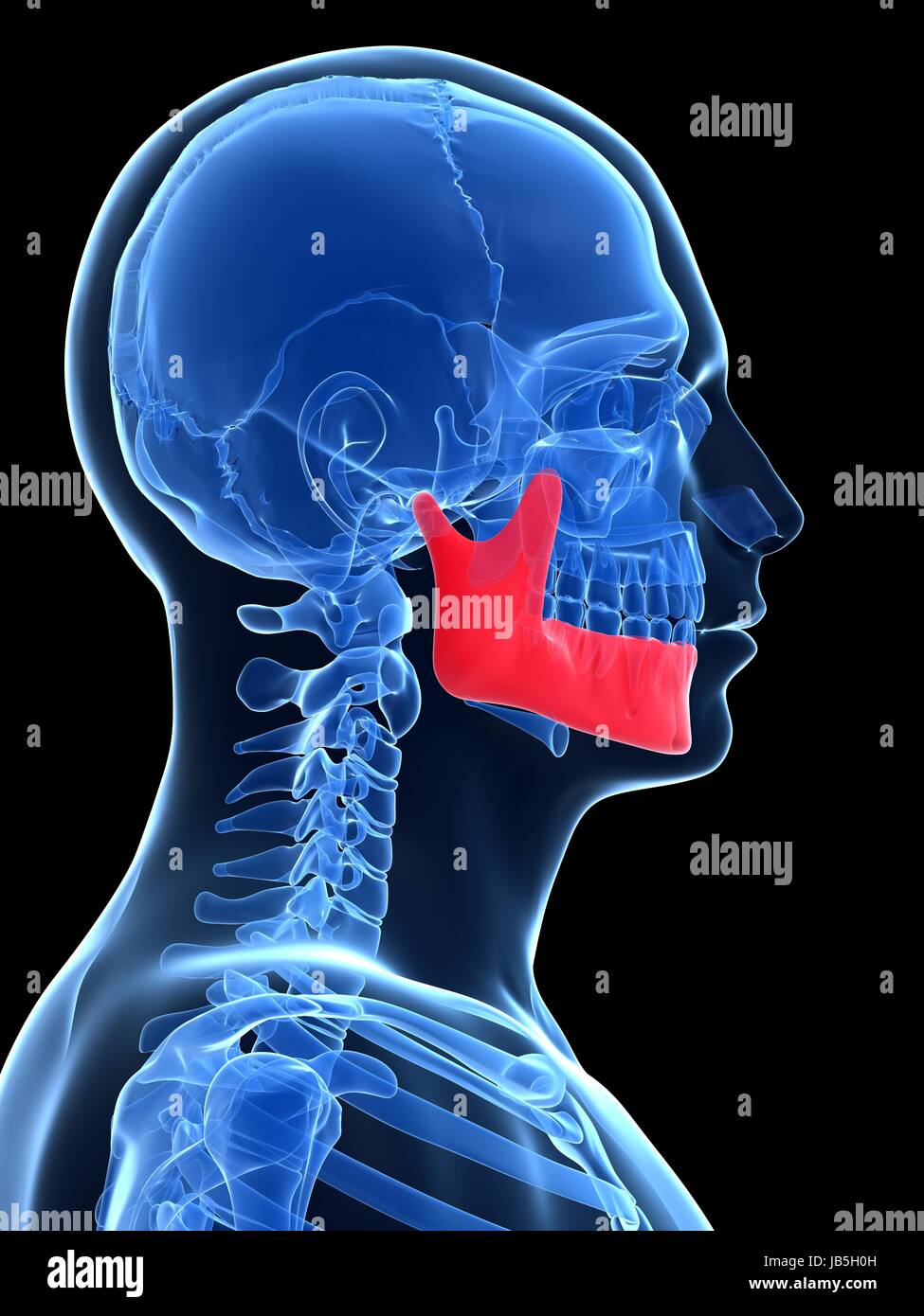 X ray mandible science hi-res stock photography and images - Alamy