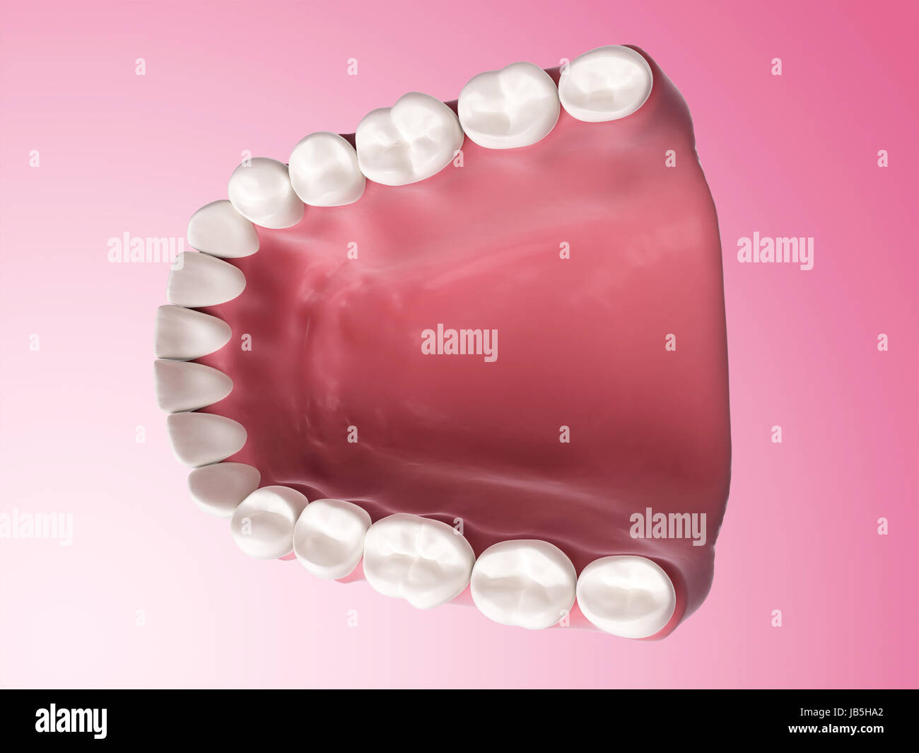 3d rendered illustration - lower teeth Stock Photo - Alamy