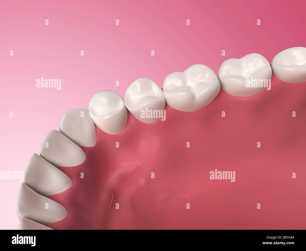 3d rendered illustration - lower teeth Stock Photo - Alamy