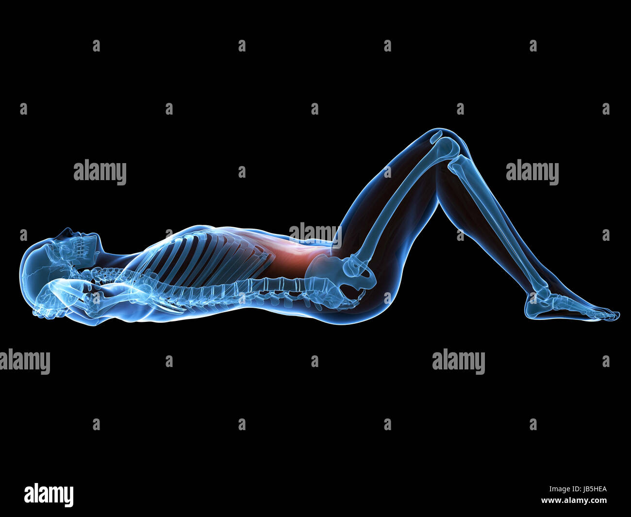 Doing sit ups illustration hi-res stock photography and images - Alamy