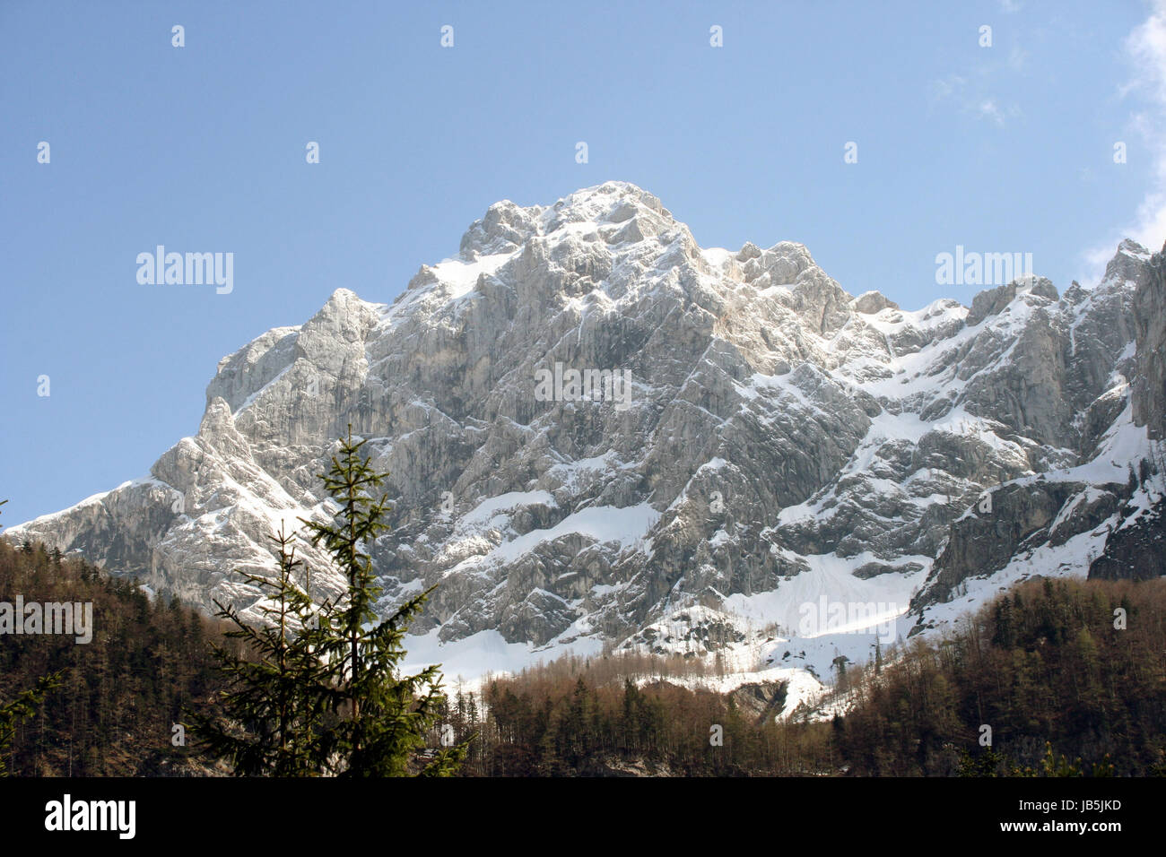 Extramity hi-res stock photography and images - Alamy