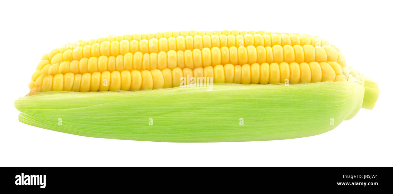 ear of corn isolated on a white background (with clipping work path ...