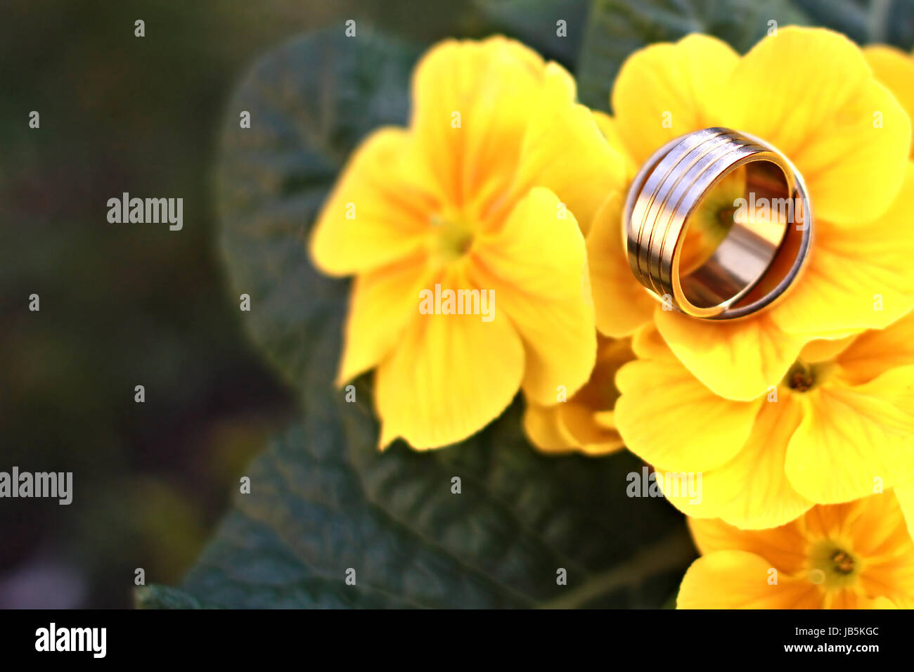 connection of love Stock Photo - Alamy