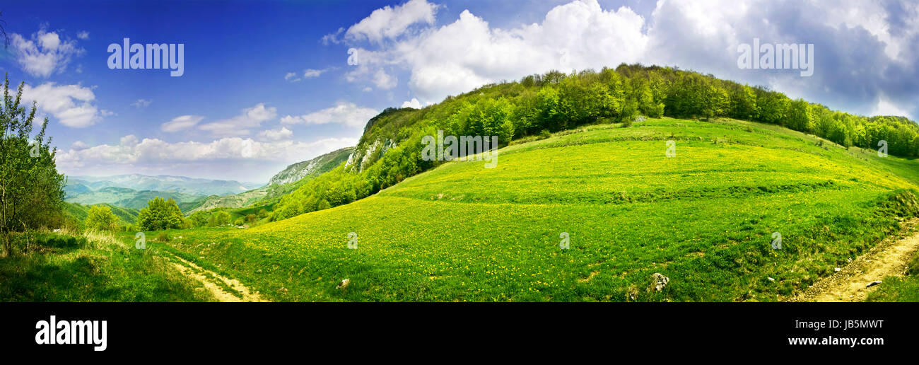 Fresh, clean summer landscape with green grass and blue sky Stock Photo ...