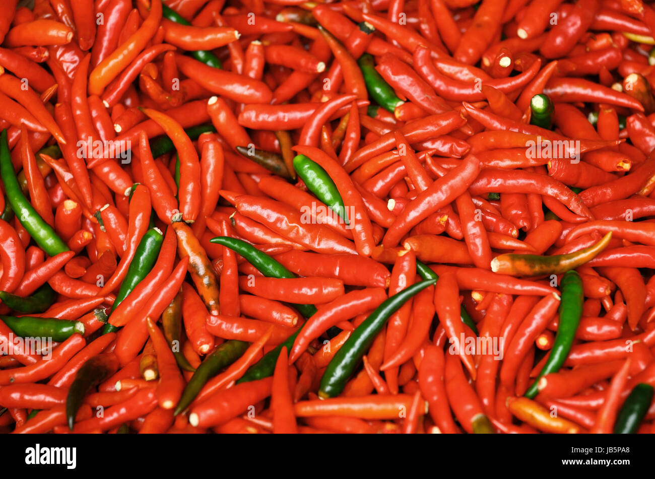 Red chili pepper Stock Photo - Alamy