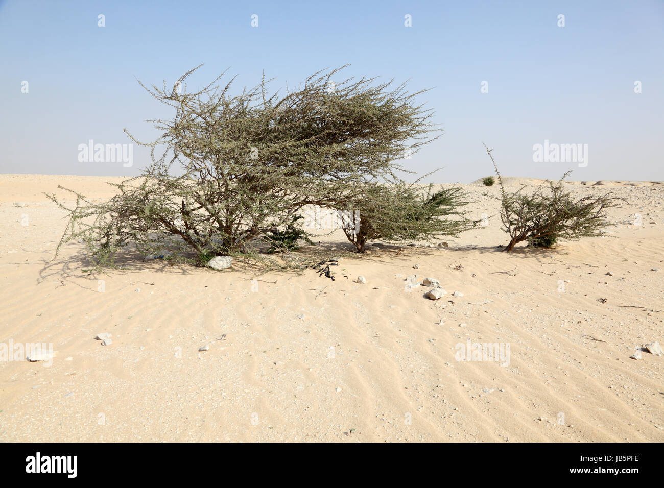 Jebel qatar hi-res stock photography and images - Alamy