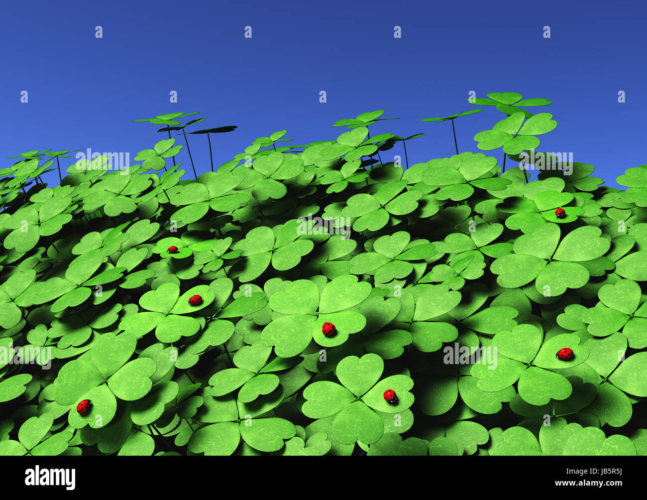 view of a group of four-leaf clovers of different height and dimensions ...