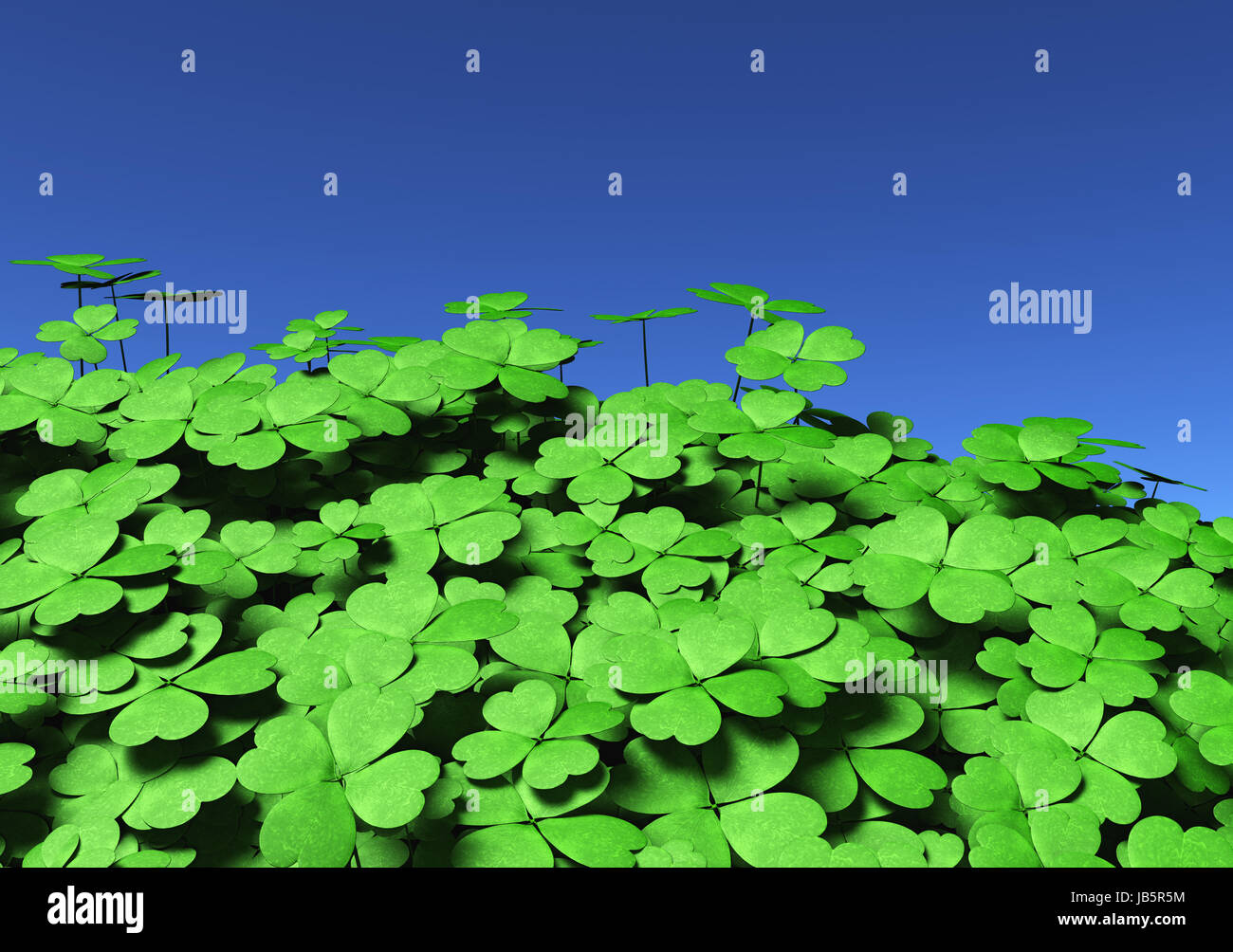 view of a group of four-leaf clovers of different height and dimensions ...