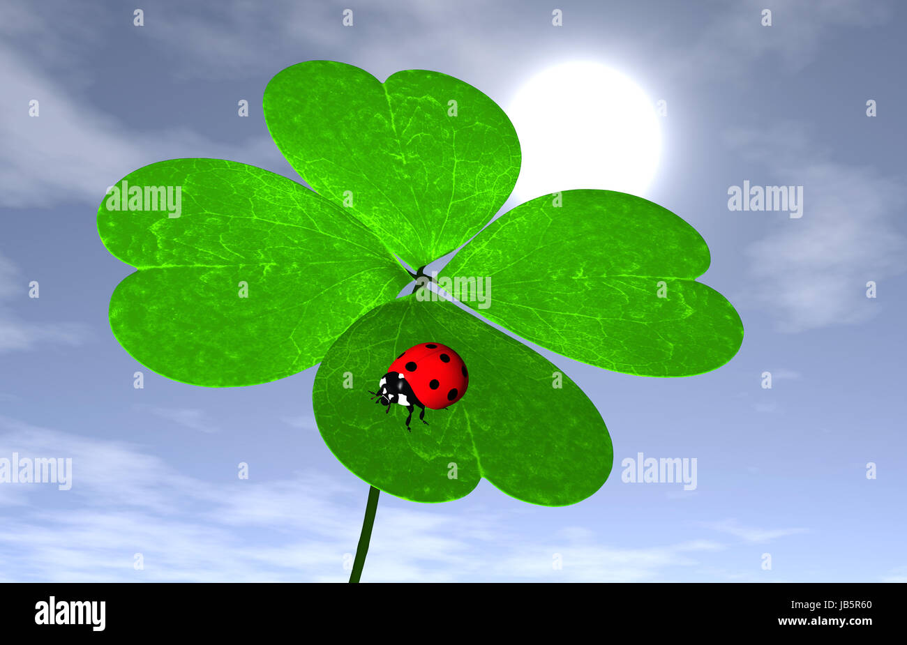 Ladybug on four leaf clover hi-res stock photography and images - Alamy