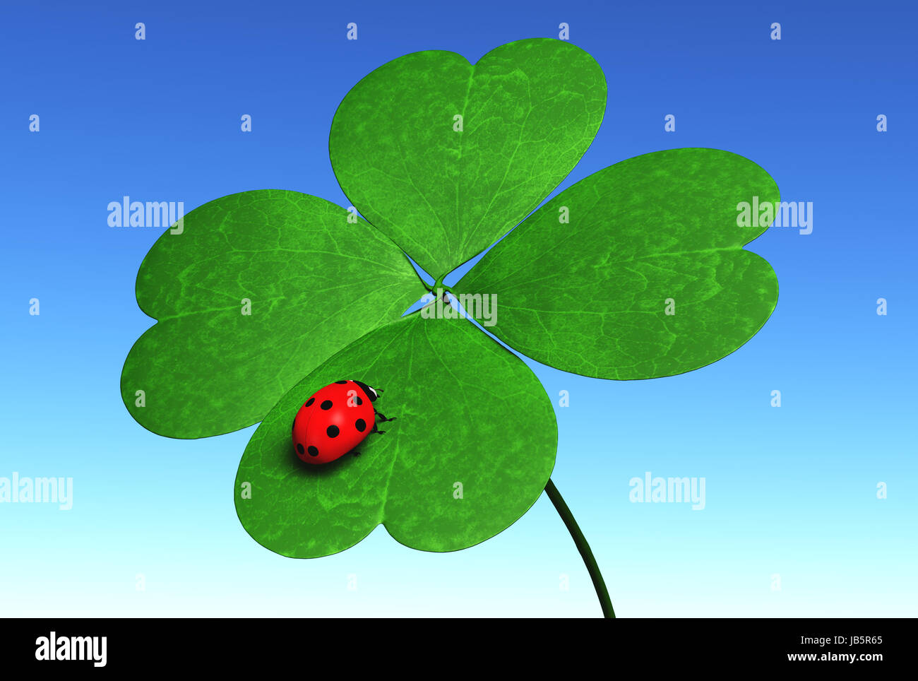 Ladybug on four leaf clover hi-res stock photography and images - Alamy