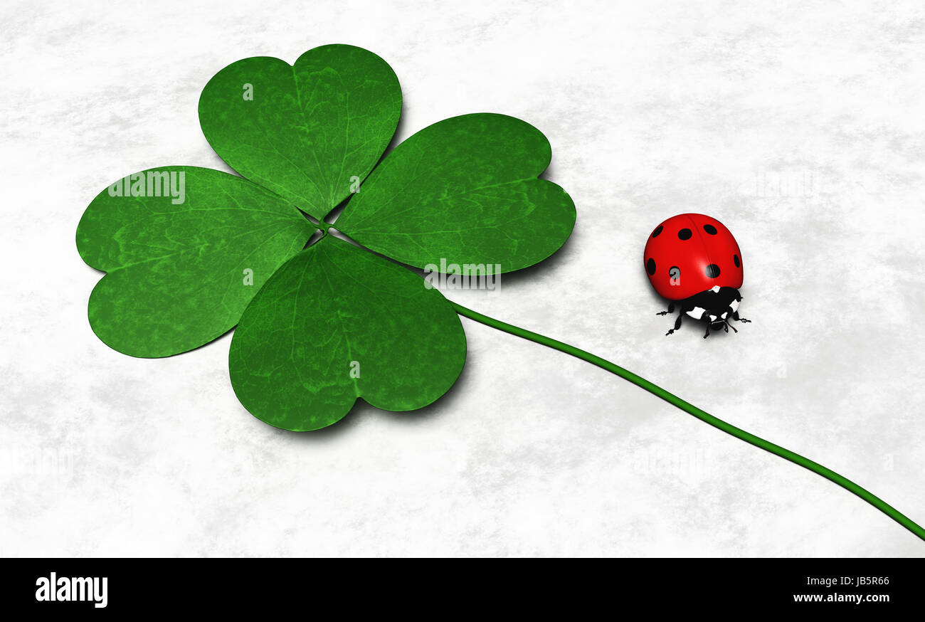 Ladybug on four leaf clover hi-res stock photography and images - Alamy