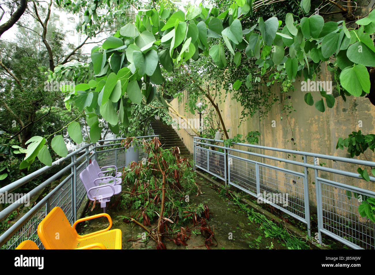Hong kong typhoon damage hi-res stock photography and images - Alamy