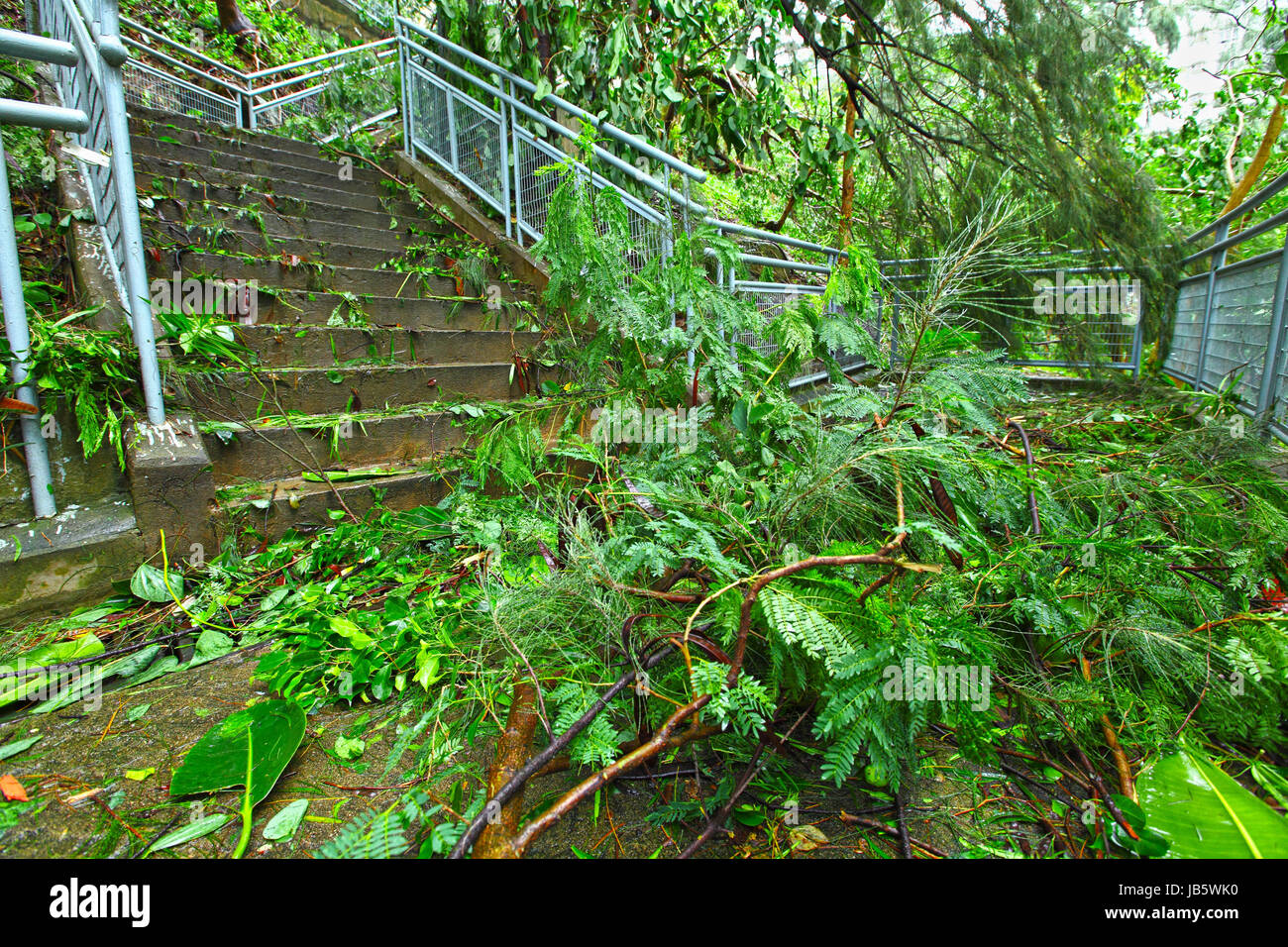 Destroy after typhoon Stock Photo - Alamy