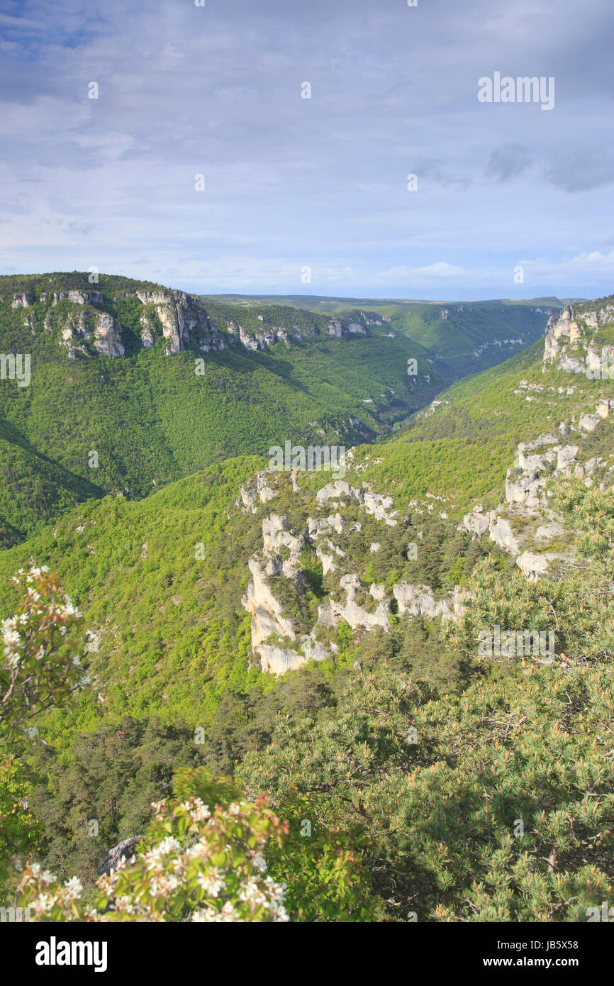 Gorges De La Dourbie High Resolution Stock Photography and Images - Alamy