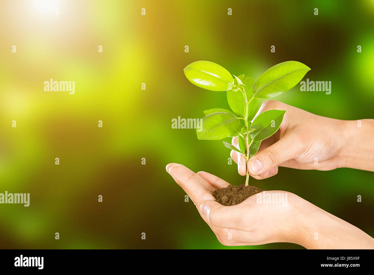 Part the soil hi-res stock photography and images - Alamy