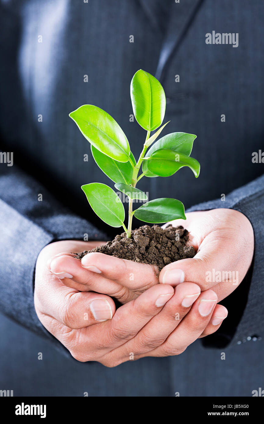 Hands cupped seedling hi-res stock photography and images - Alamy