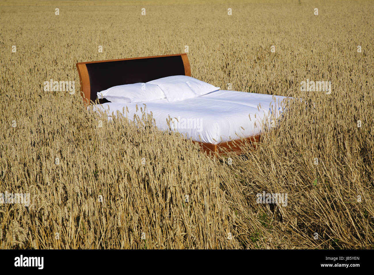 bed in a grain field- concept of good sleep Stock Photo - Alamy